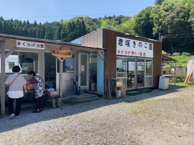 国産生きくらげ狩りを100g250円で体験「君塚きのこ園」 – まぐさブログ